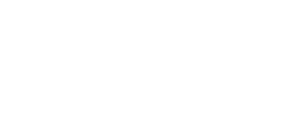 iMDsoft: MetaVision Critical Care Clinical Information System iMDsoft