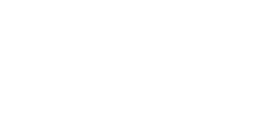 iMDsoft: MetaVision Critical Care Clinical Information System iMDsoft